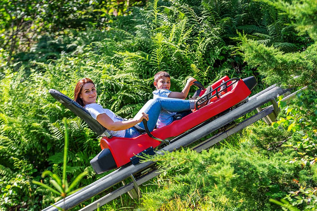 Sommerrodelbahn Gutach / Schwarzwald